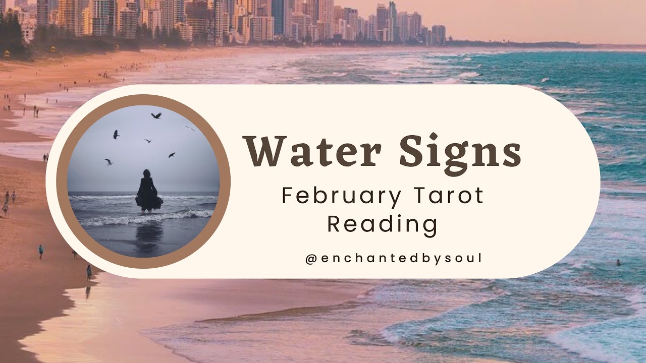 Water Signs “Why walk when you can run”February Reading 🔮 - YouTube
