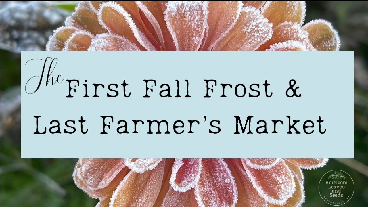 #47 First Fall Frost & Last Farmer’s Market of the Year Heirloom Leaves ...