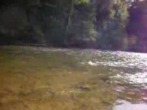 sights and sounds of the pine river , Michigan - YouTube