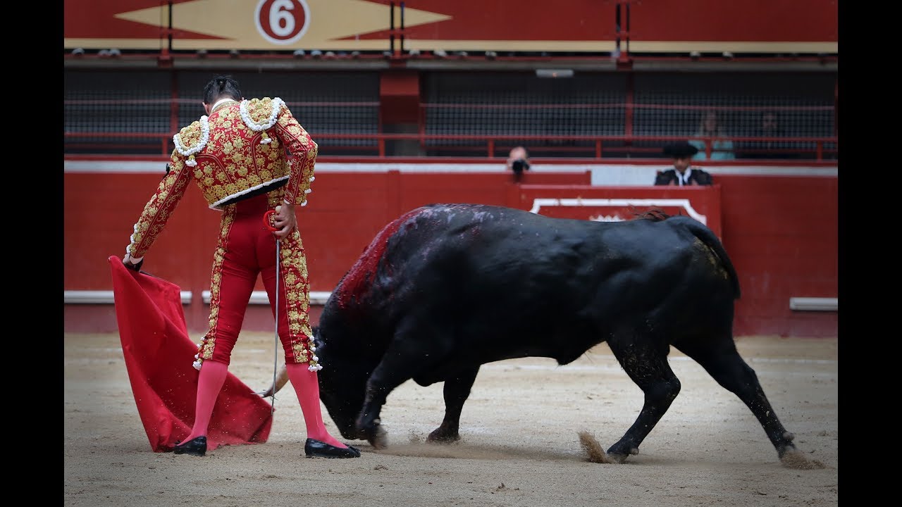 Competencias de Toreo en Cali 2009-2010 - TvAgro por Juan Gonzalo Angel ...