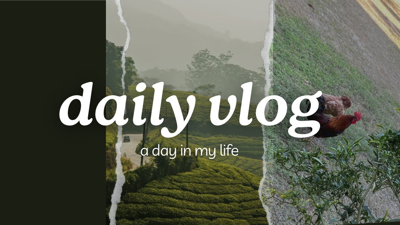 Discover Village Life ||My First Rural Vlog|| Day 1 - YouTube