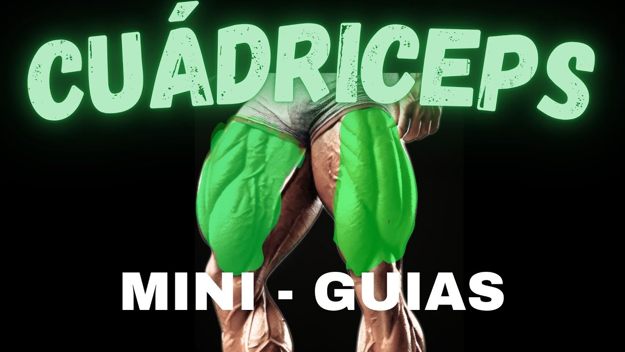 CRECE tus PIERNAS - MINI GUÍA del CUÁDRICEPS - YouTube