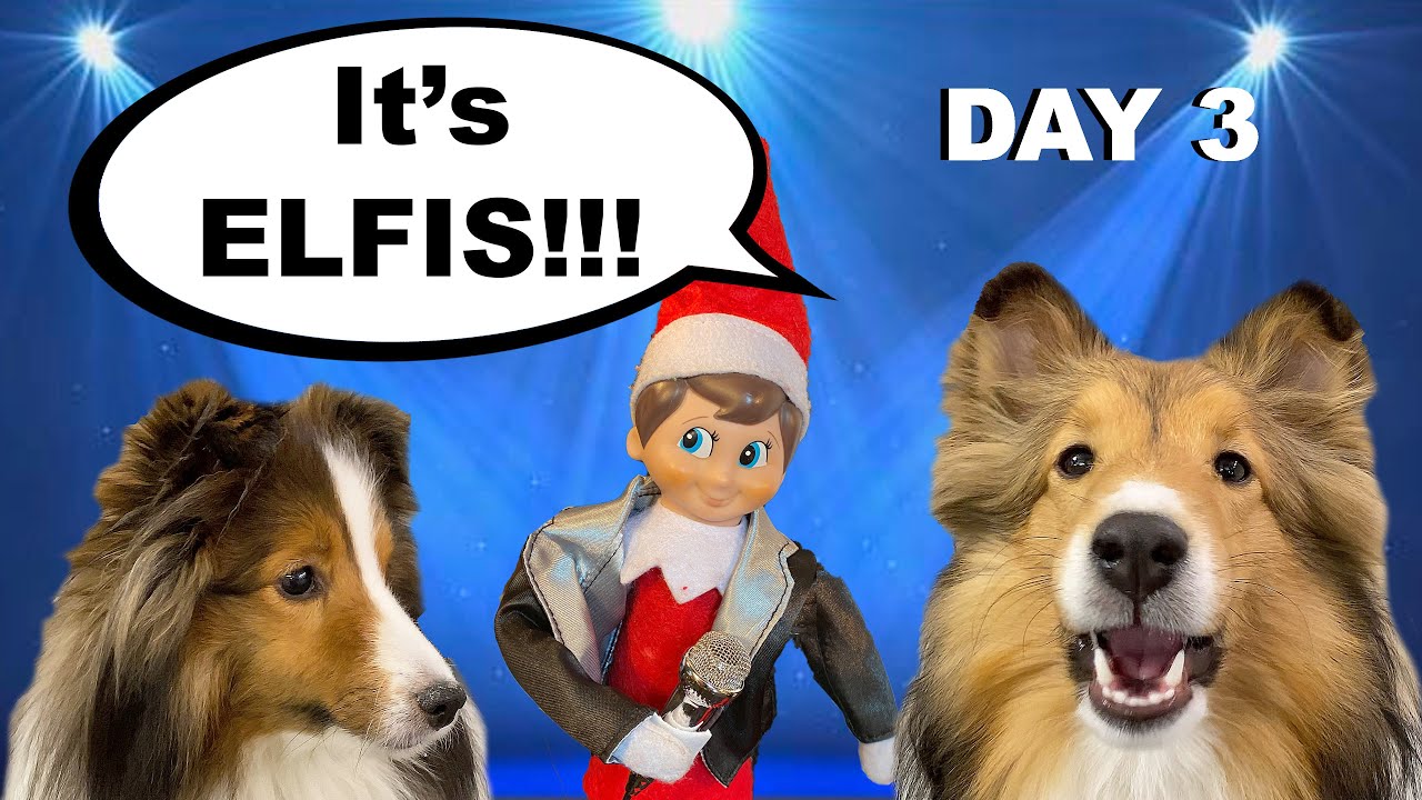 "It's ELFIS???" Karaoke NIGHT!!! 🐶🎤 an Elf on the Shelf Adventure Day 3 ...