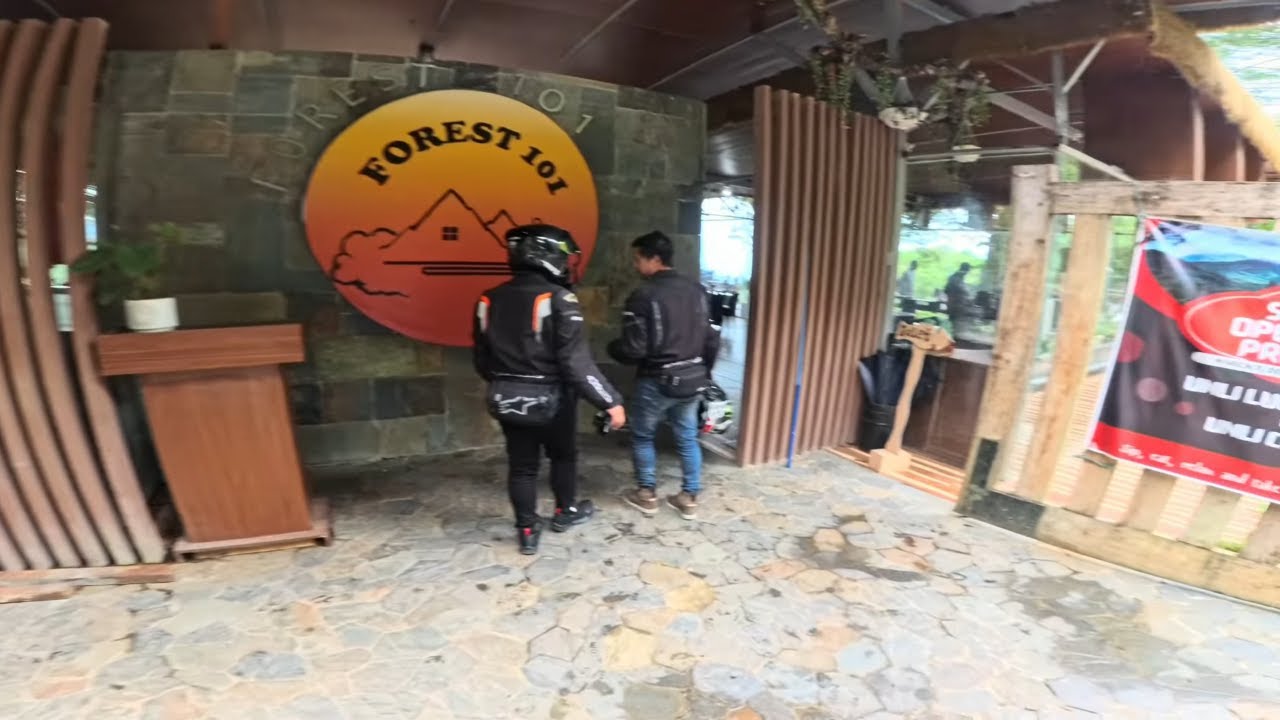 Forest 101 | Marilaque - YouTube