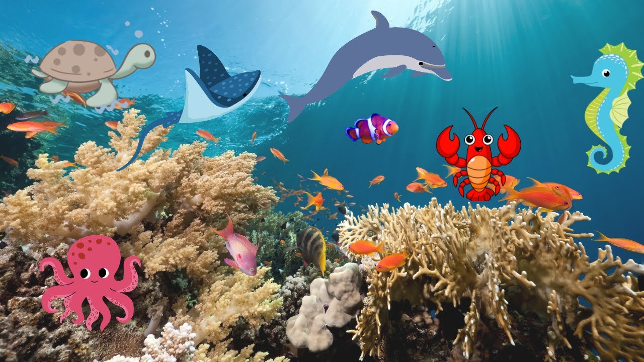 Sea Animals | Learn sea animals names in English | English vocabulary ...