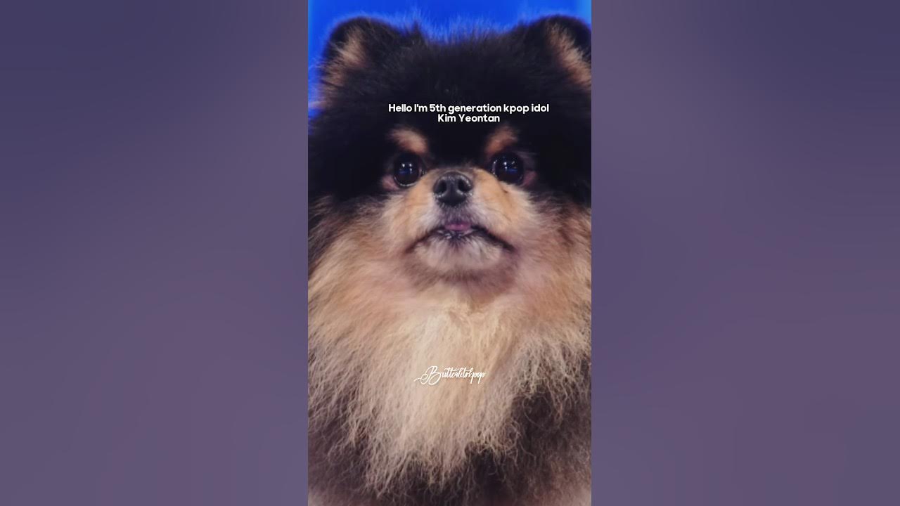 5th Generation Kpop Idol Kim Yeontan Debut Behind The Stage YouTube 5th-generation-kpop-idol-kim-yeontan-debut-behind-the-stage-youtube