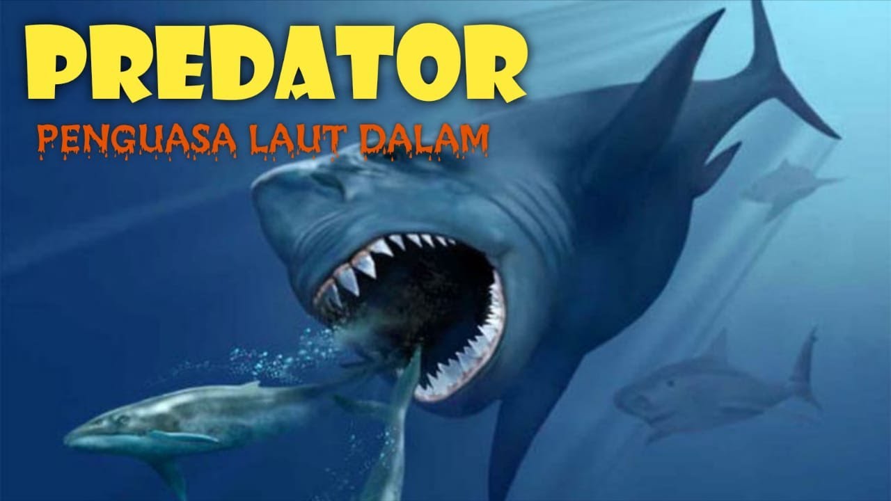 Animal Predator documentary#animals - YouTube