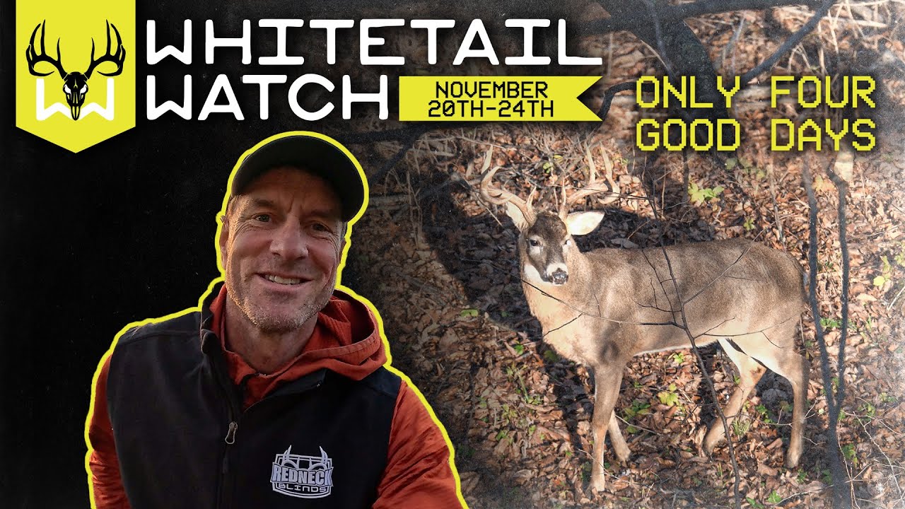 The Rut Only Has Four Good Days | Whitetail Watch w/ Bill Winke - YouTube