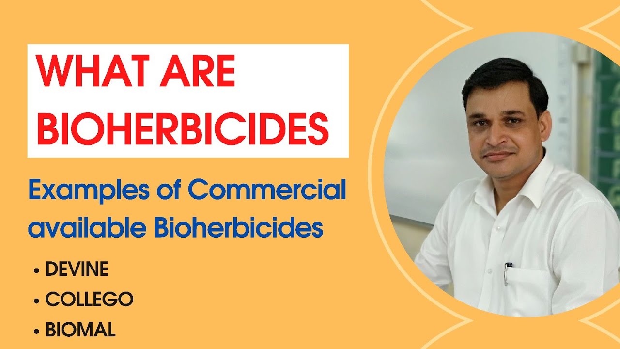 Bioherbicides and their commercial examples viz devine, collego ...