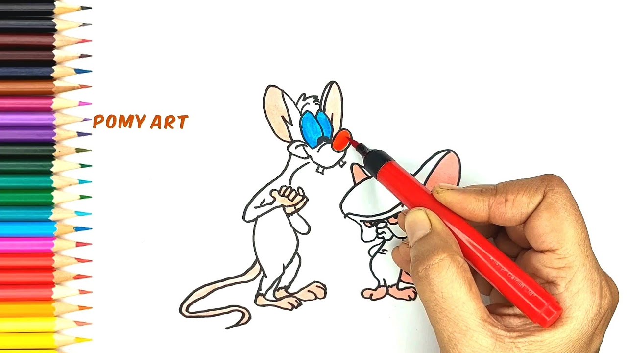 Draw Pinky And The Brain Cartoon | Pinky and The Brain Drawing for kids ...