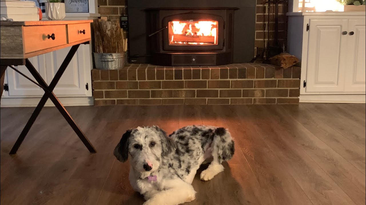 Regency hybrid i2500 wood burning insert/ wood stove with catalyst ...