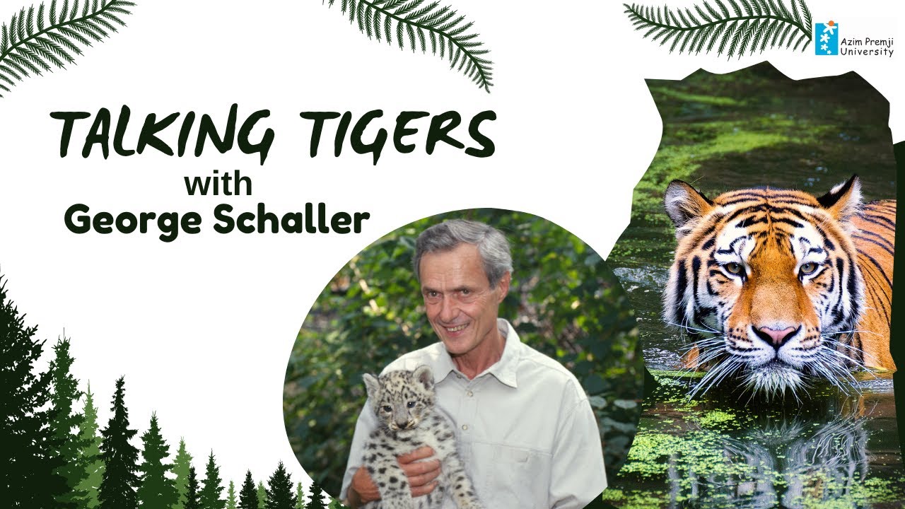 Talking Tigers with George Schaller - YouTube