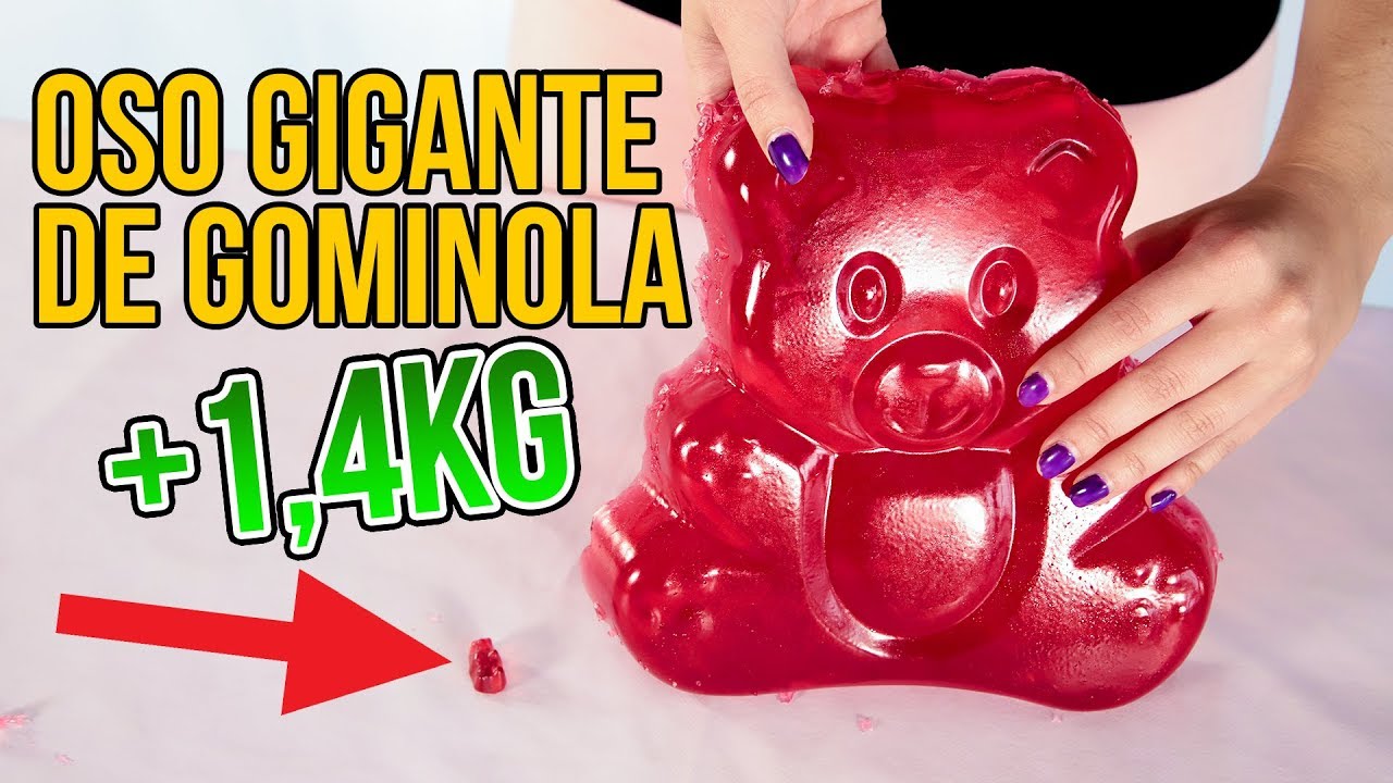 Cómo hacer un OSO GIGANTE de GOMINOLA (Experimentos Caseros) - YouTube