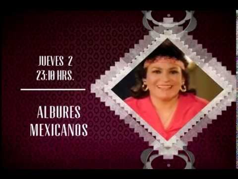 Albures mexicanos - YouTube