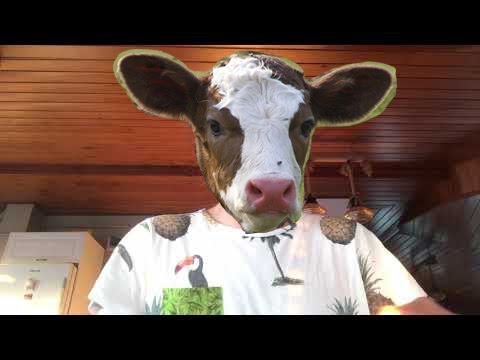 Kokular Bizi Yıldıramaz | Kurban Haber Bülteni Fragman