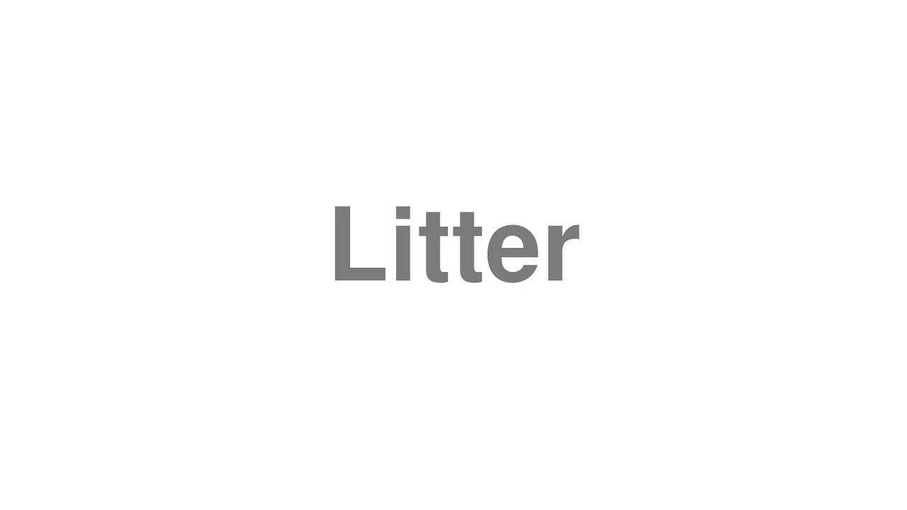 How to Pronounce "Litter" - YouTube