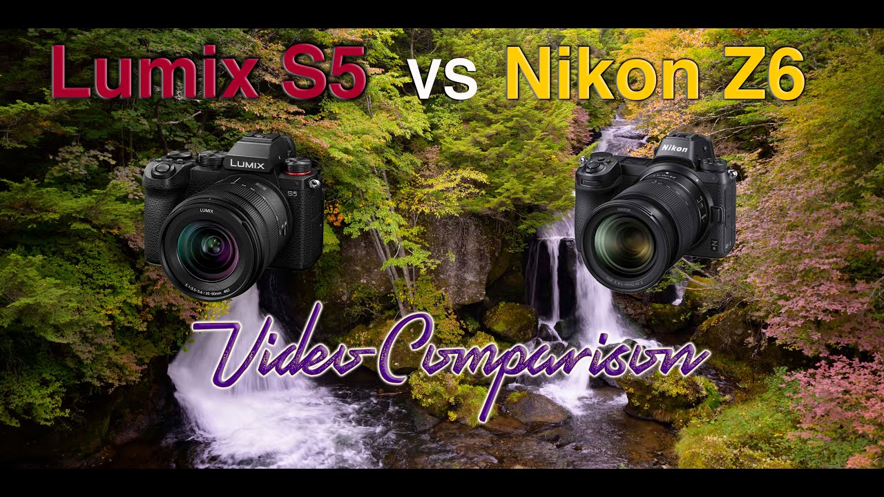 Panasonic Lumix S5 vs Nikon Z6 video comparison: 10 bit vs 8 bit - YouTube