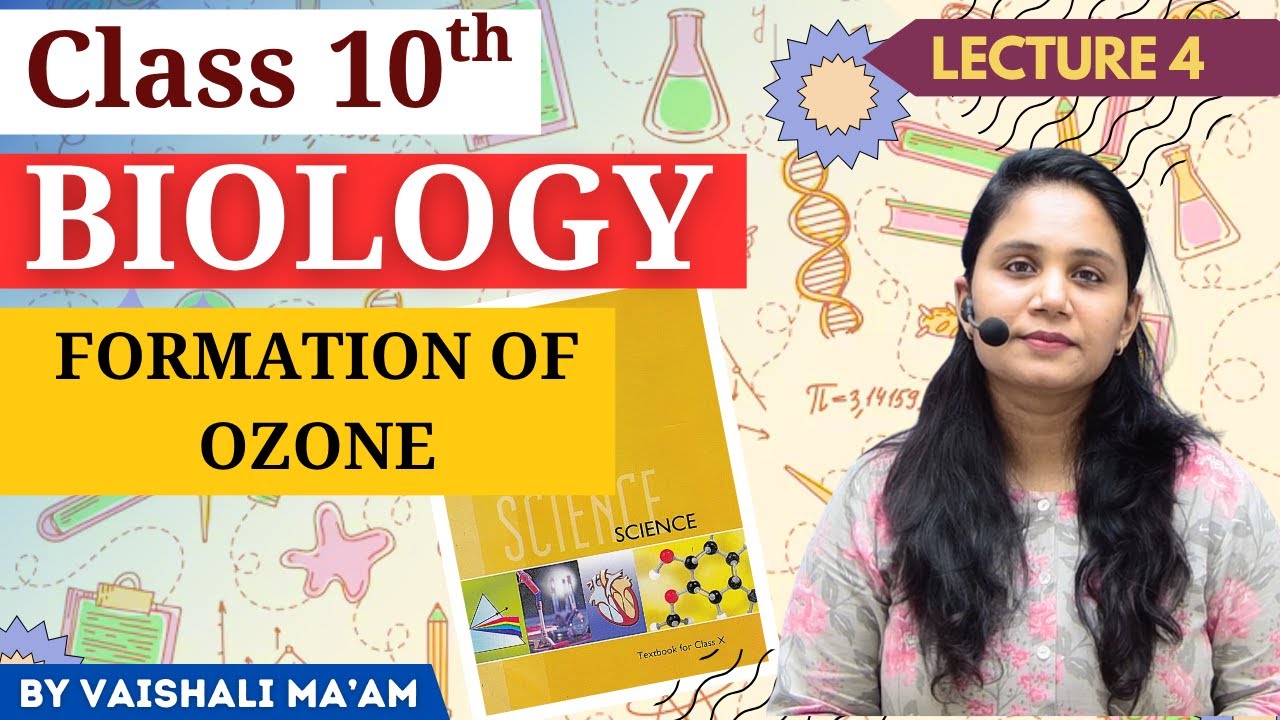 Formation of Ozone Layer | Class 10 Biology | Chapter 13 Our ...