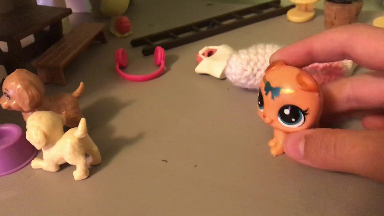 LPS Moves Into New Barn House! - YouTube