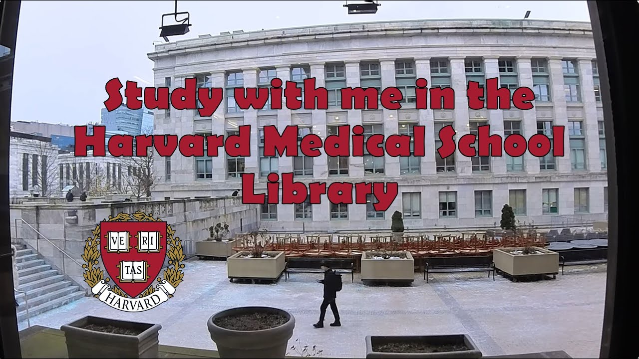 🪟🏫 Study with me or people watch from Harvard Medical School Countway ...