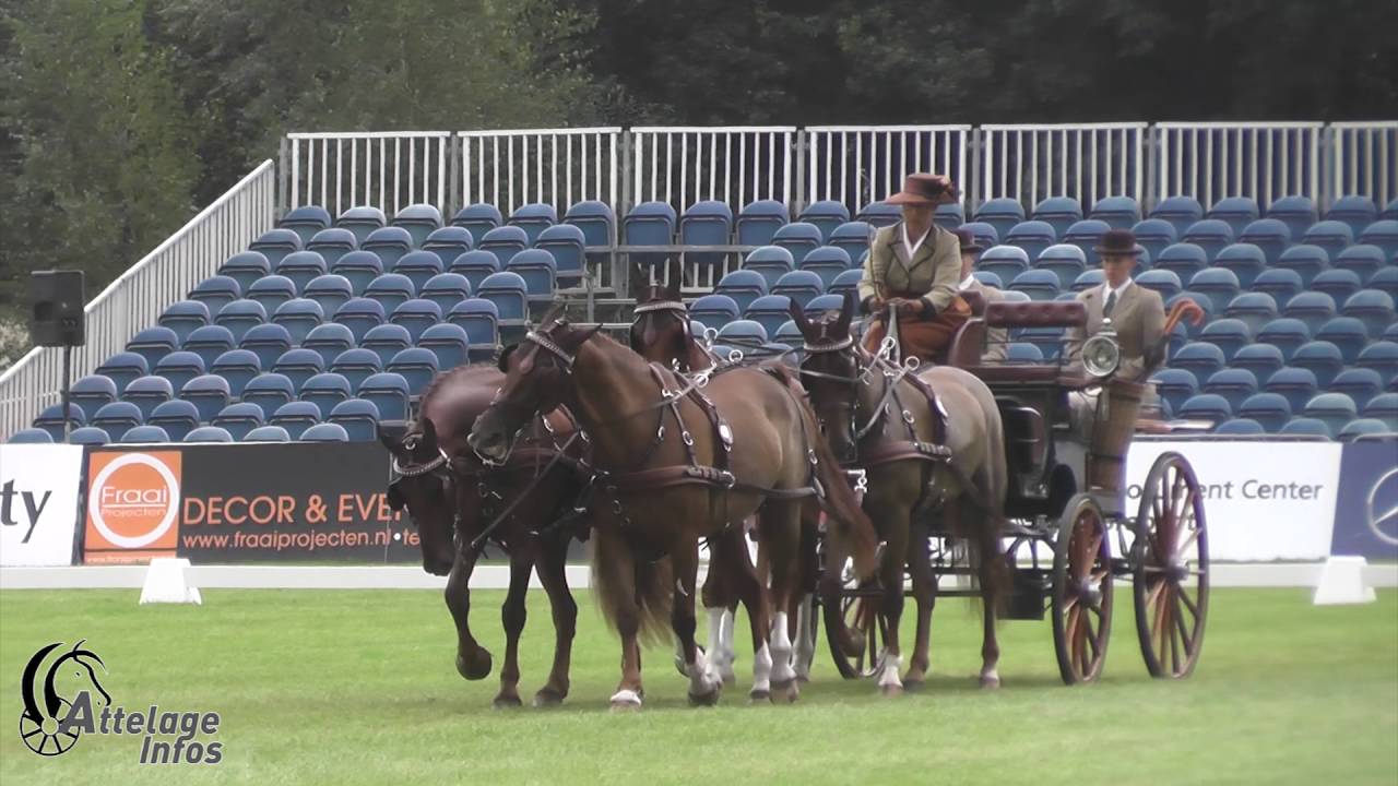 Allison STROUD USA Dressage FEI WDFC BREDA 2016 - YouTube