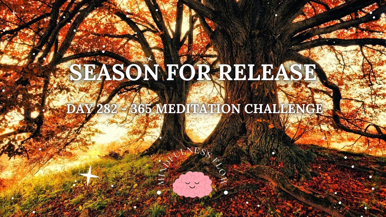 365 Days Meditation Challenge | Day 282 - Season for Release🌿 - YouTube