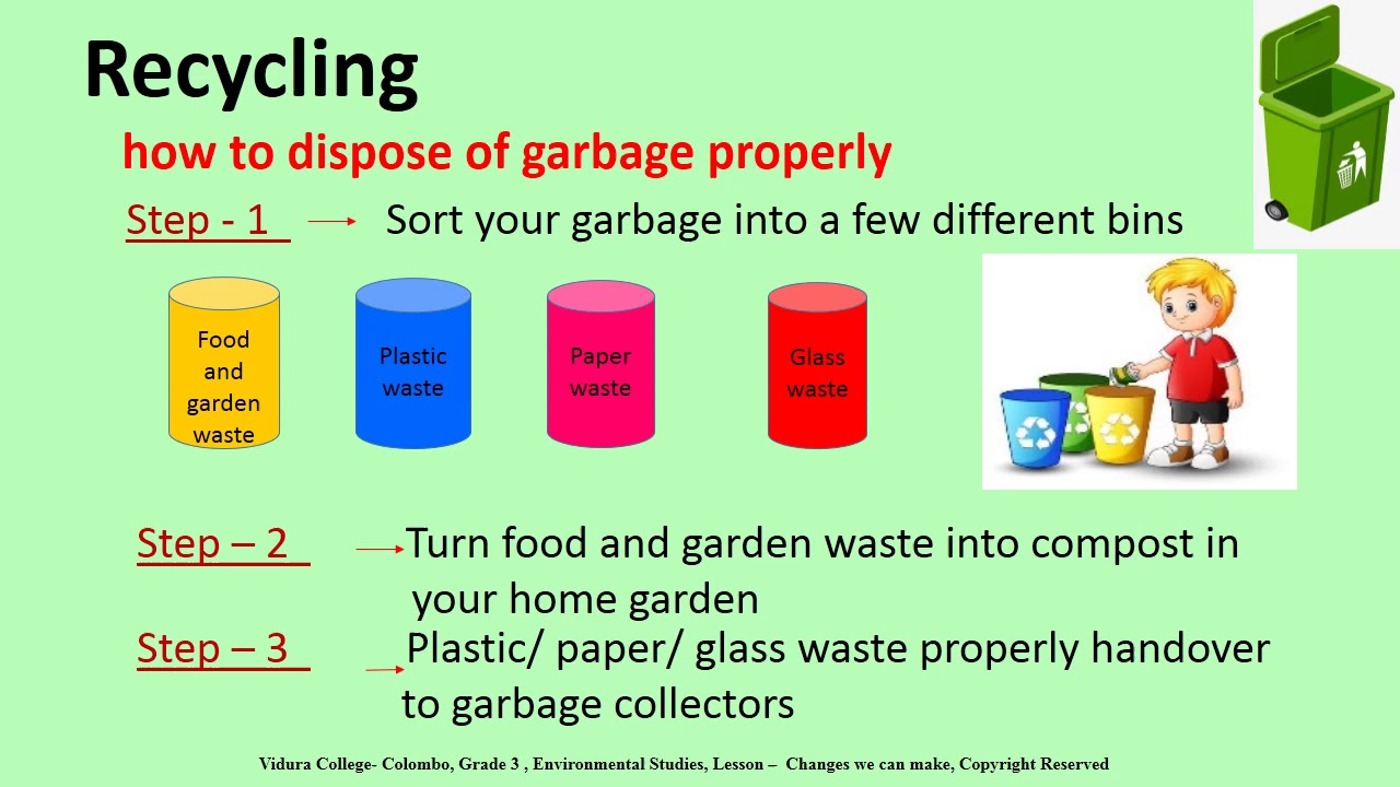 Grade 3, Environmental Studies Changes we can make - YouTube