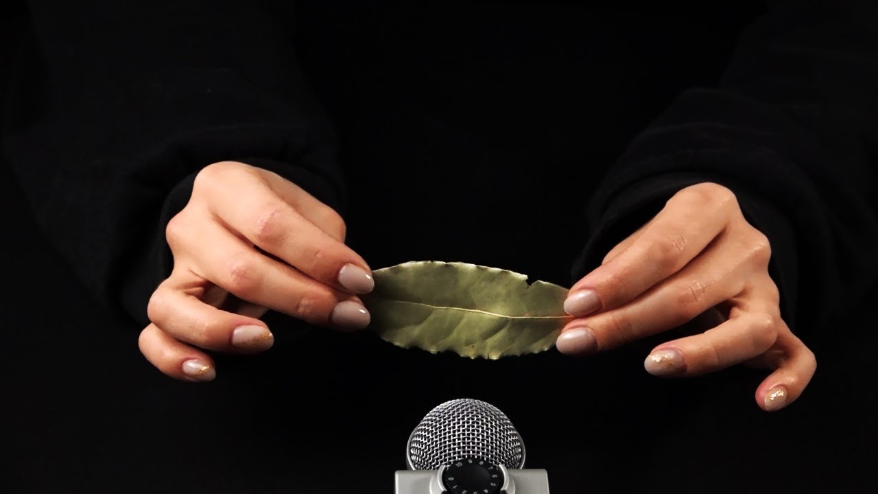 ASMR Sound Of Dry Leaves This Is The Divine Sound Of Leaves YouTube ASMR Sound Of Dry Leaves This Is The Divine Sound Of Leaves YouTube