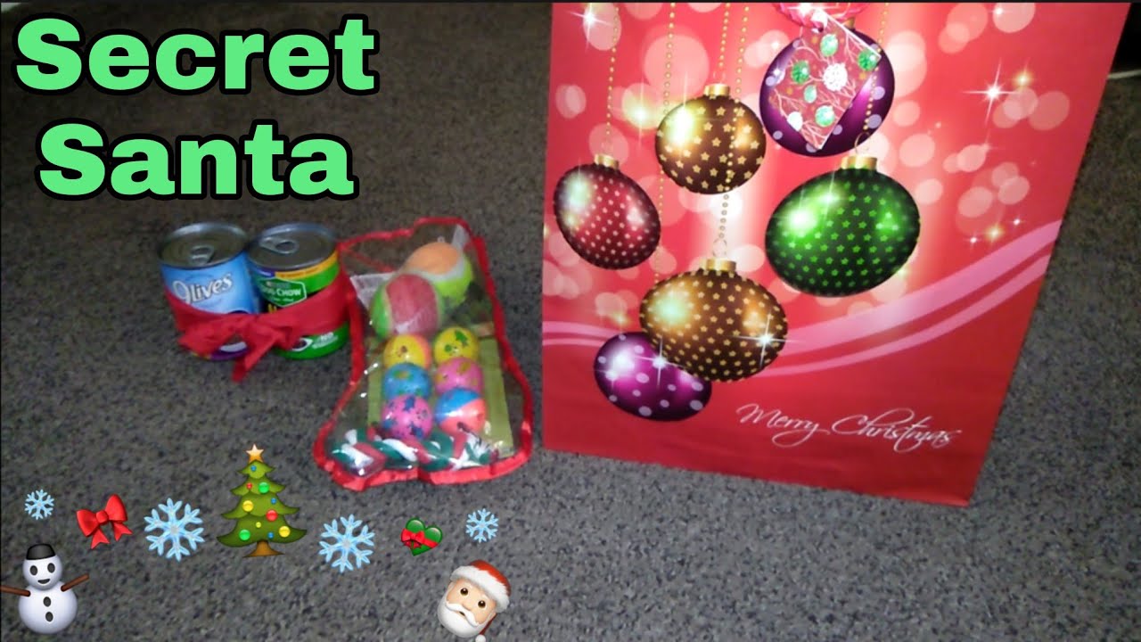 Secret Santa Gift For My Neighbor - YouTube
