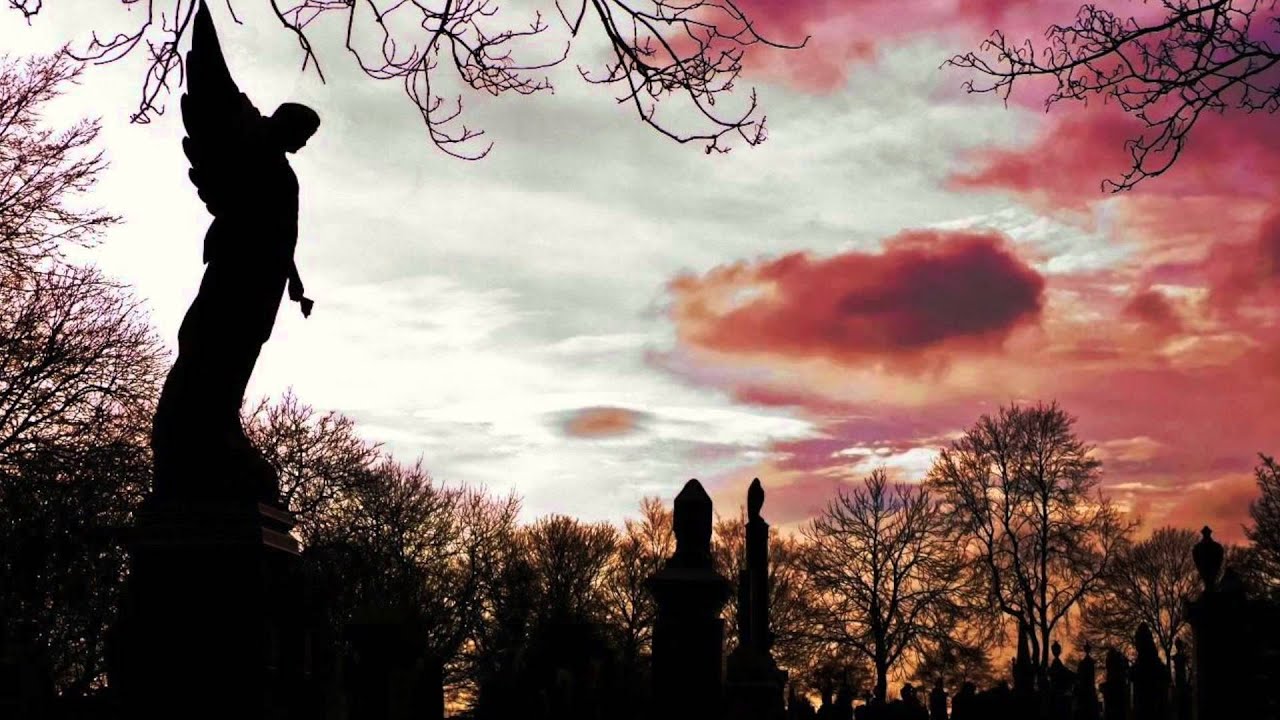 To Whom Much is Given - A Grayson Goodman Novel (Official Book Trailer ...