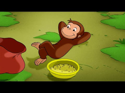 George Feeds the Ducks! 🐵 Curious George | Animal Friends