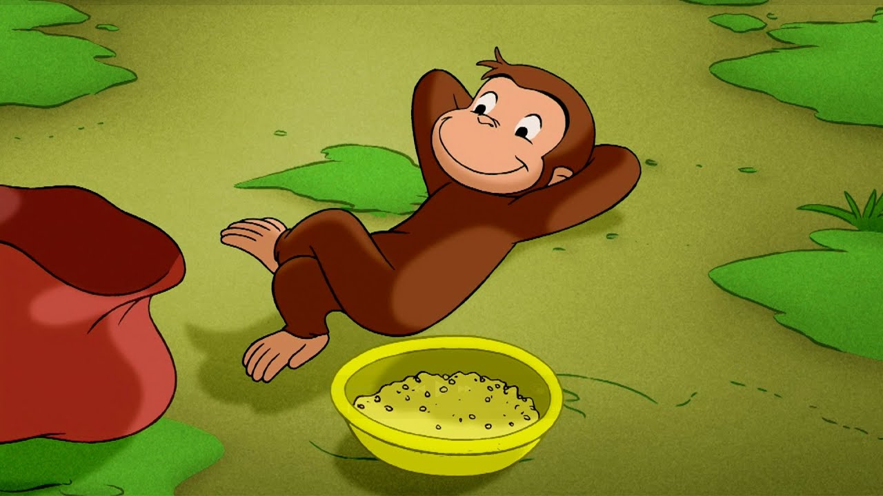George Feeds the Ducks! 🐵 Curious George | Animal Friends - YouTube