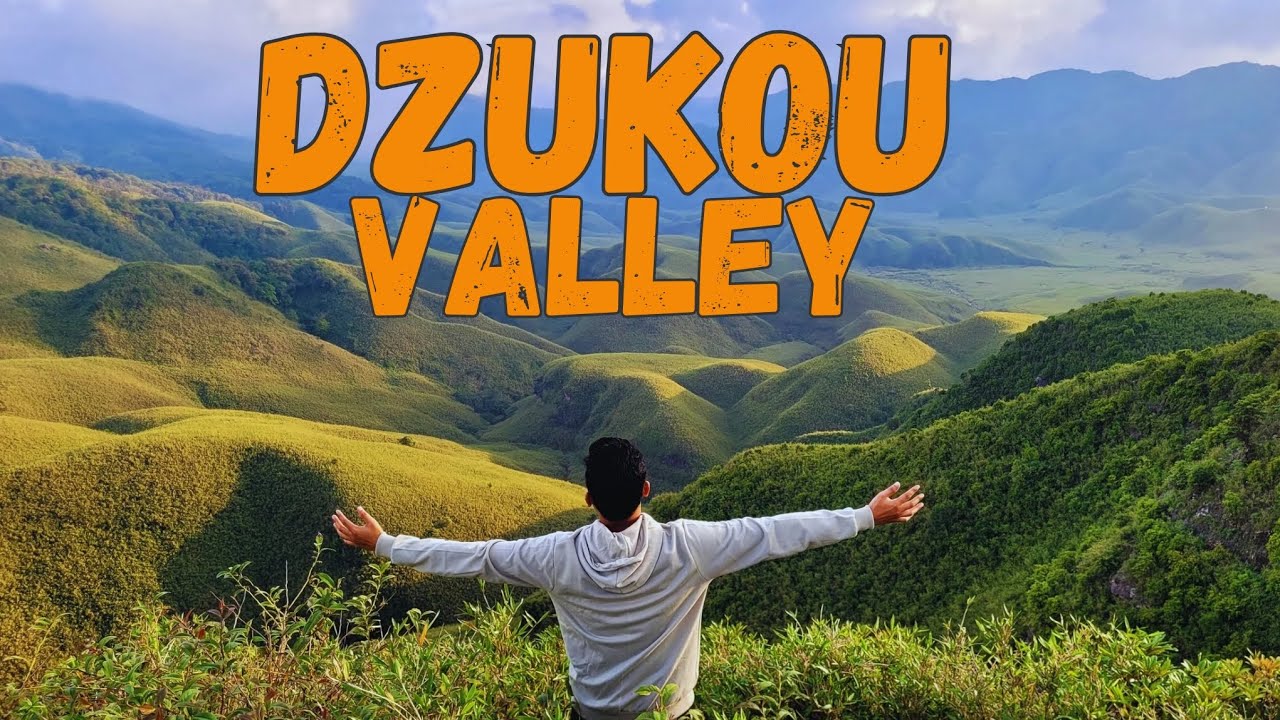 DZUKOU VALLEY NAGALAND || PART - 2|| Dzukou Lily flowers || Beautiful ...