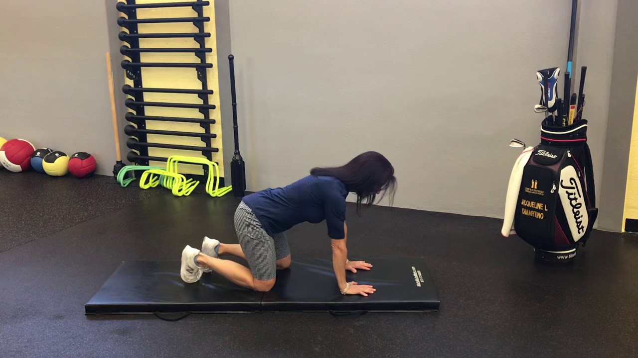 Quadruped Super Slow Hip Circle - YouTube