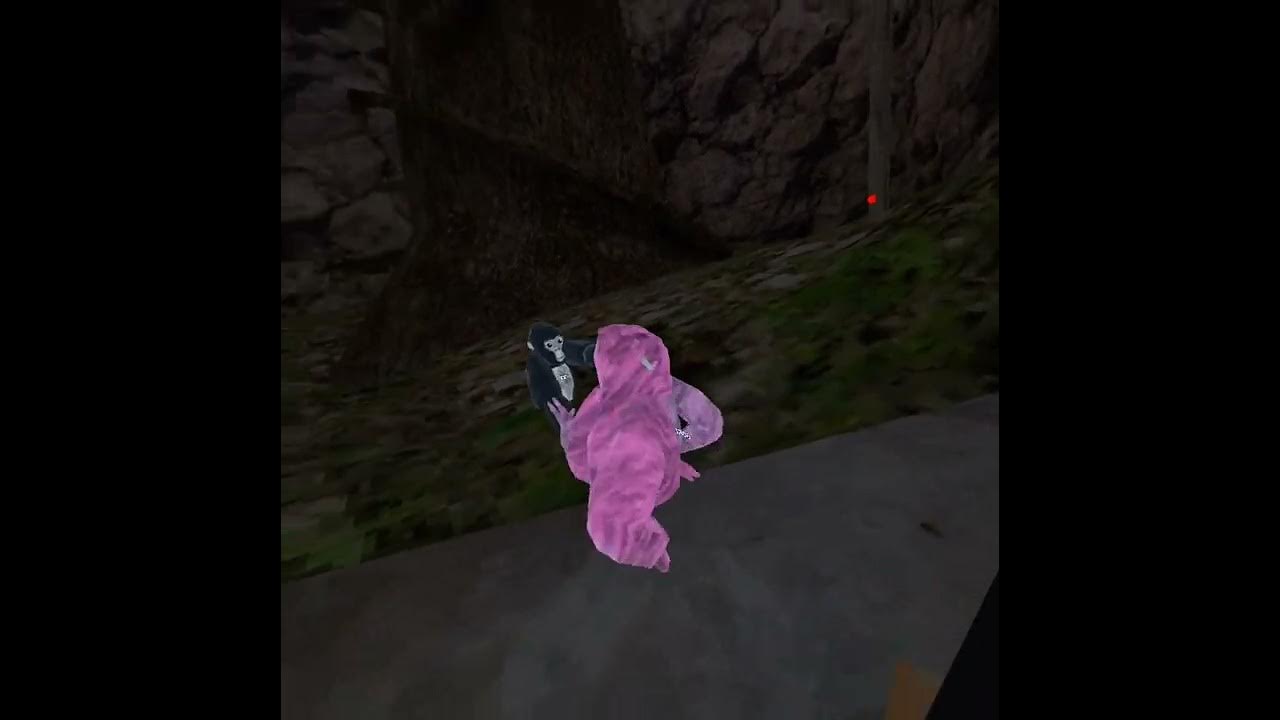 found something in the j3vu code in gorilla - YouTube