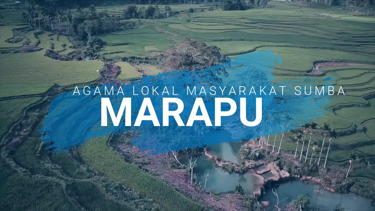 UTS Paham Ketuhanan "Agama Lokal Sumba - MARAPU" - YouTube