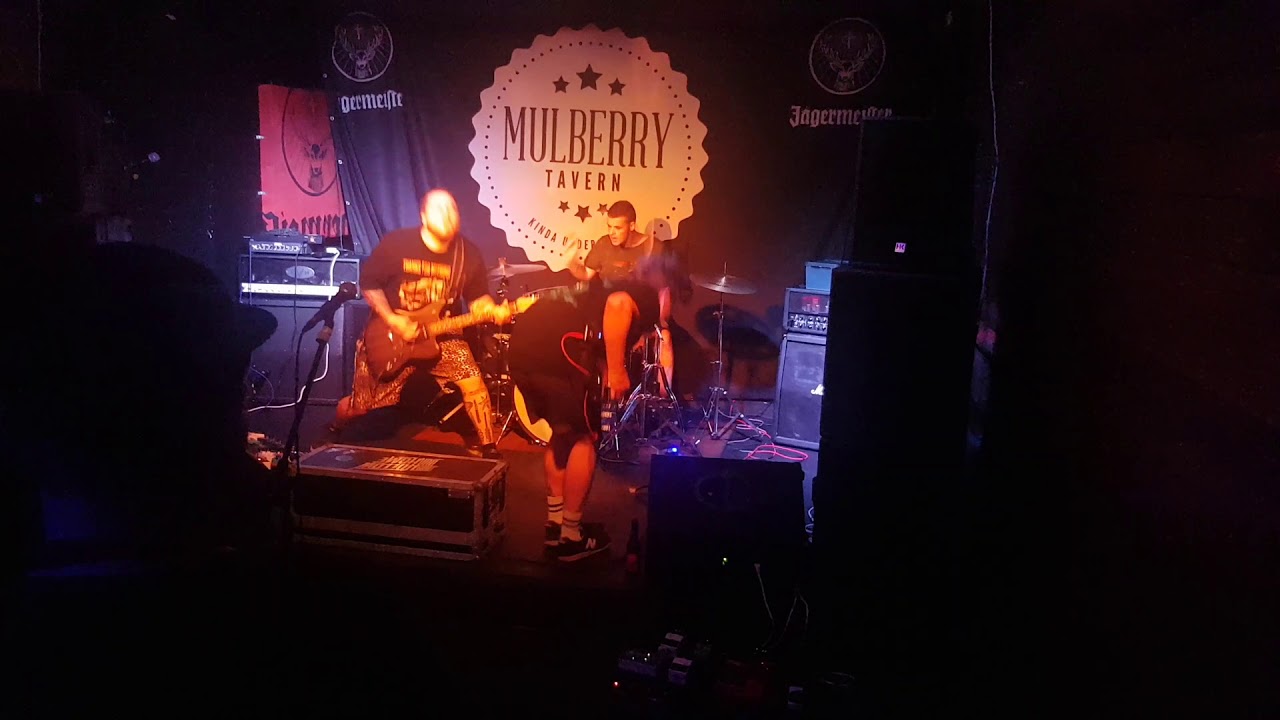 99%COBRA live at the Mulberry, Sheffield - YouTube