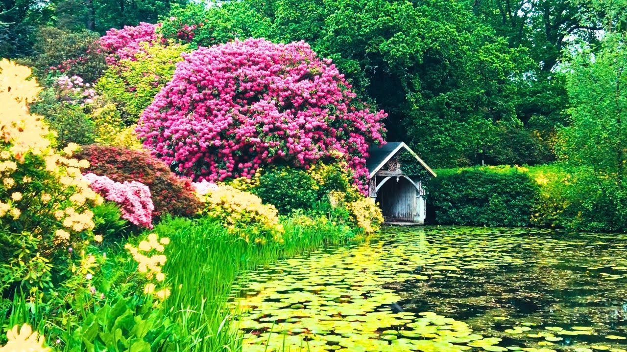 Rainy Bargany Gardens Walk, Scottish Countryside 4K - YouTube