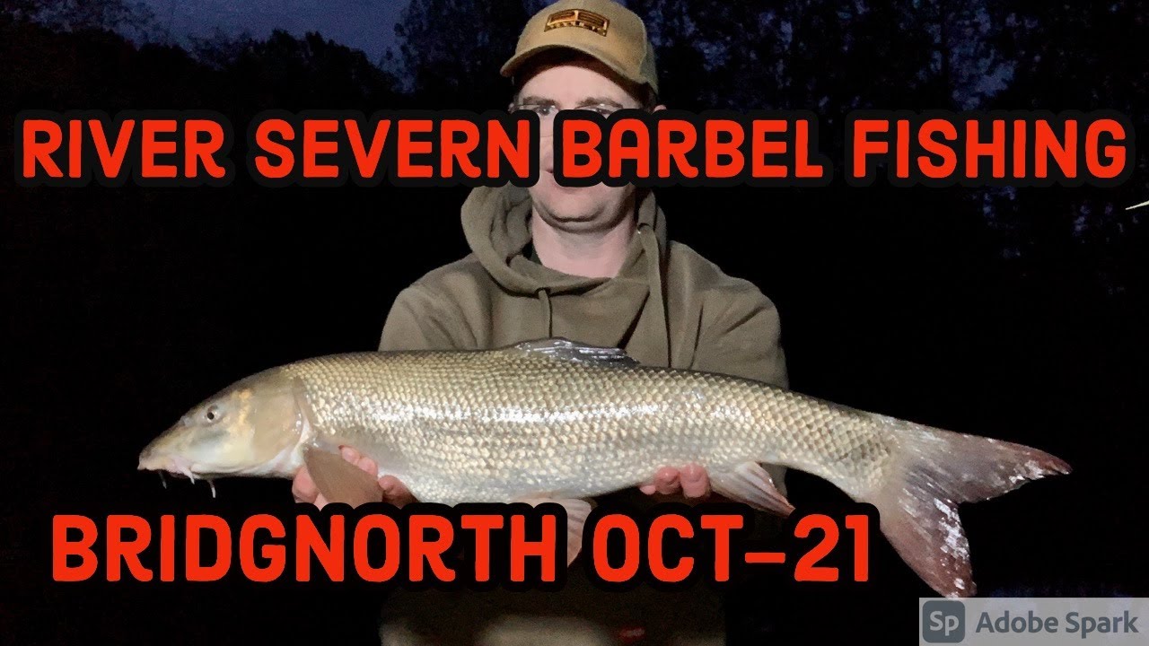 River Severn Barbel Fishing Session - Bridgnorth October 2021 EP3 - YouTube