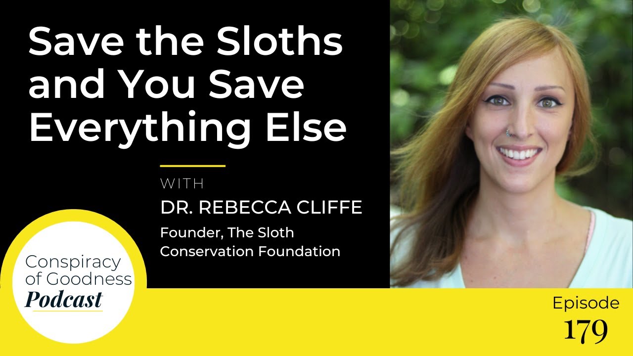 Save the Sloths and You Save Everything Else w/ Dr. Rebecca Cliffe | EP 179 - YouTube