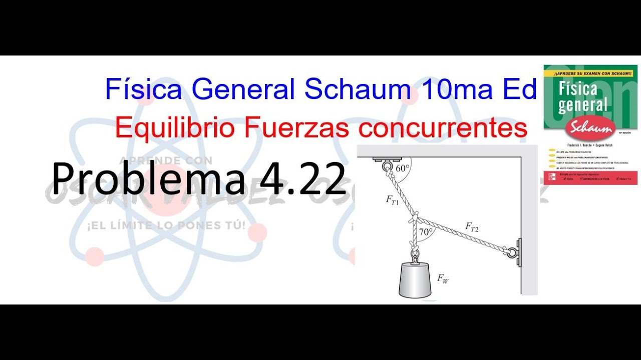 4.22 Física General Serie de Schaum 10ma Edición. Equilibrio bajo la ...
