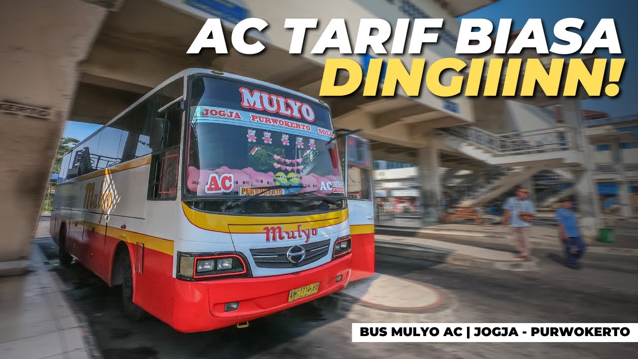 PO MULYO KEMBALI HADIRKAN BUS AC TARIF BIASA | Naik Bus Mulyo Bumel ...