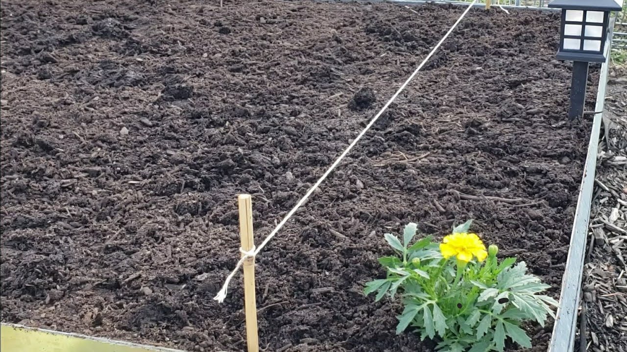 STRAIGHT LINES IN YOUR GARDEN / MAXIMIZING YOUR SPACE - YouTube