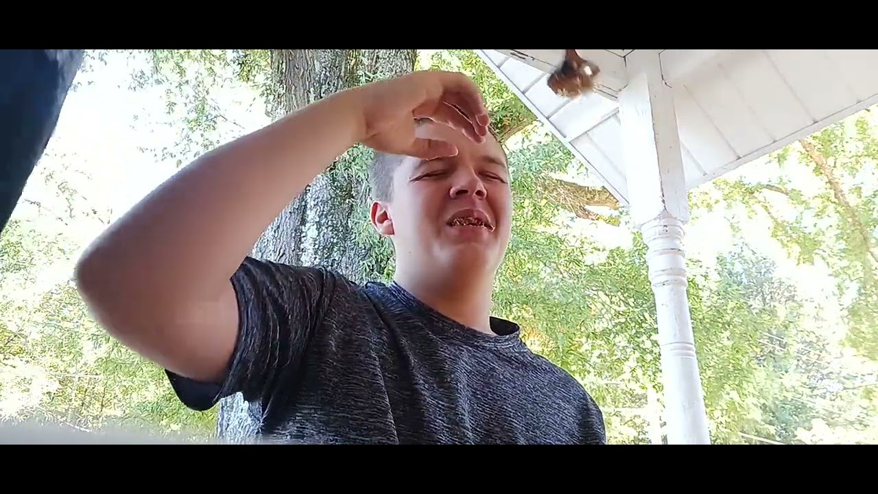 Caleb and Wesley's POV of feeding Logan random foods - YouTube