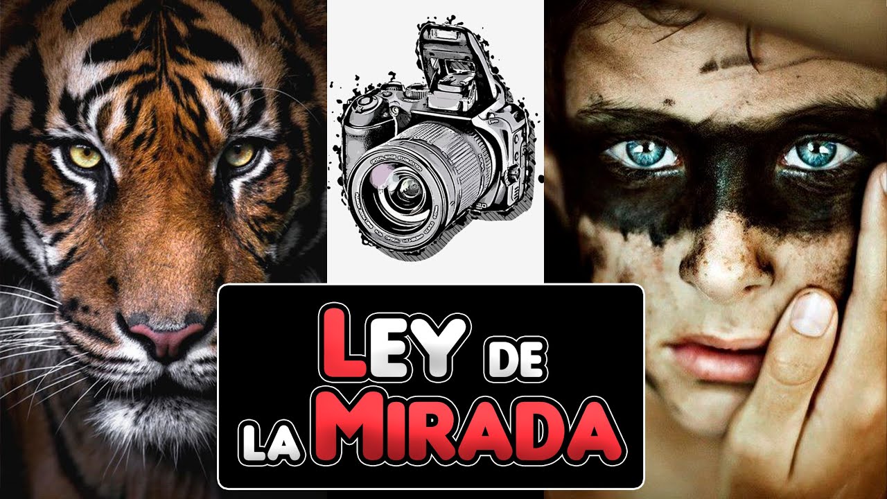 📸Composicion Fotografica | La LEY de la MIRADA - YouTube