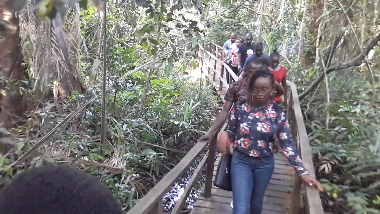 Tourmates @LCC; From the Canopy Walk to the Family Park. - YouTube