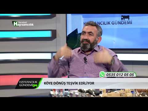 Hayvancılık Gündemi | Güncel Haberler Ve Hayvancılığın Sıcak Gündemindeki Son Gelişmeler #1 Bölüm
