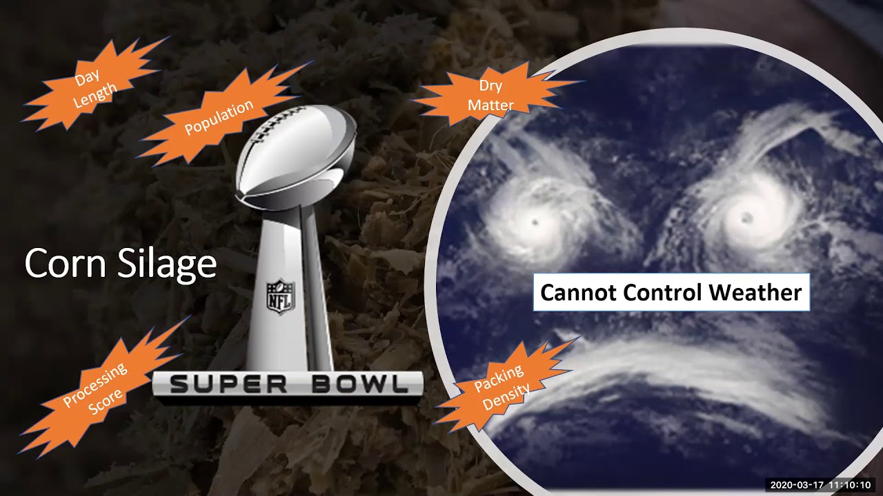 Turning Over a New Leaf on Forage Quality and Management with John ...