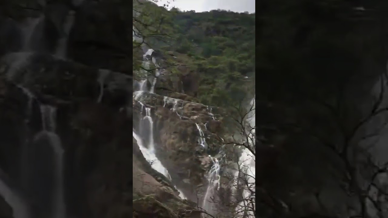 Best Nature status 🌿 2020/Nature love,Nature beauty,full screen status ...