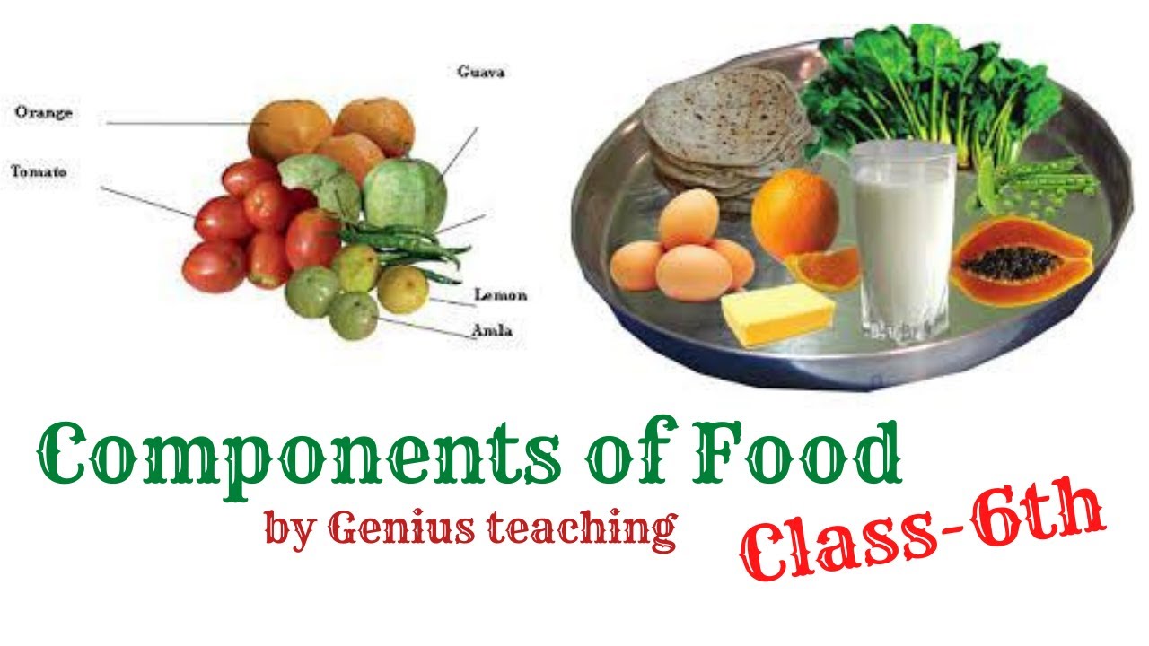 Components of Food| Grade-6th |Nutrients |Vitamins | Minerals| By ...